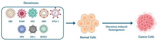 Oncoviruses: Viruses That Can Cause Cancer - Biocare Medical